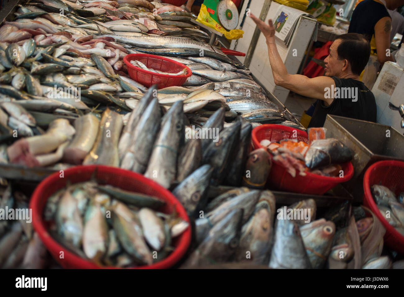 Singapore, Republic of Singapore, Asia, A fish monger at the Tekka ...