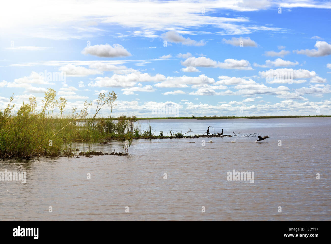 Iberá wetlands hi-res stock photography and images - Alamy