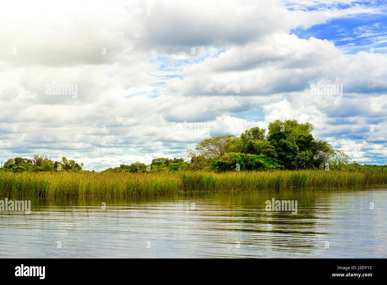Wetlands in Nature Reserve Esteros del Ibera National Park, Colonia ...