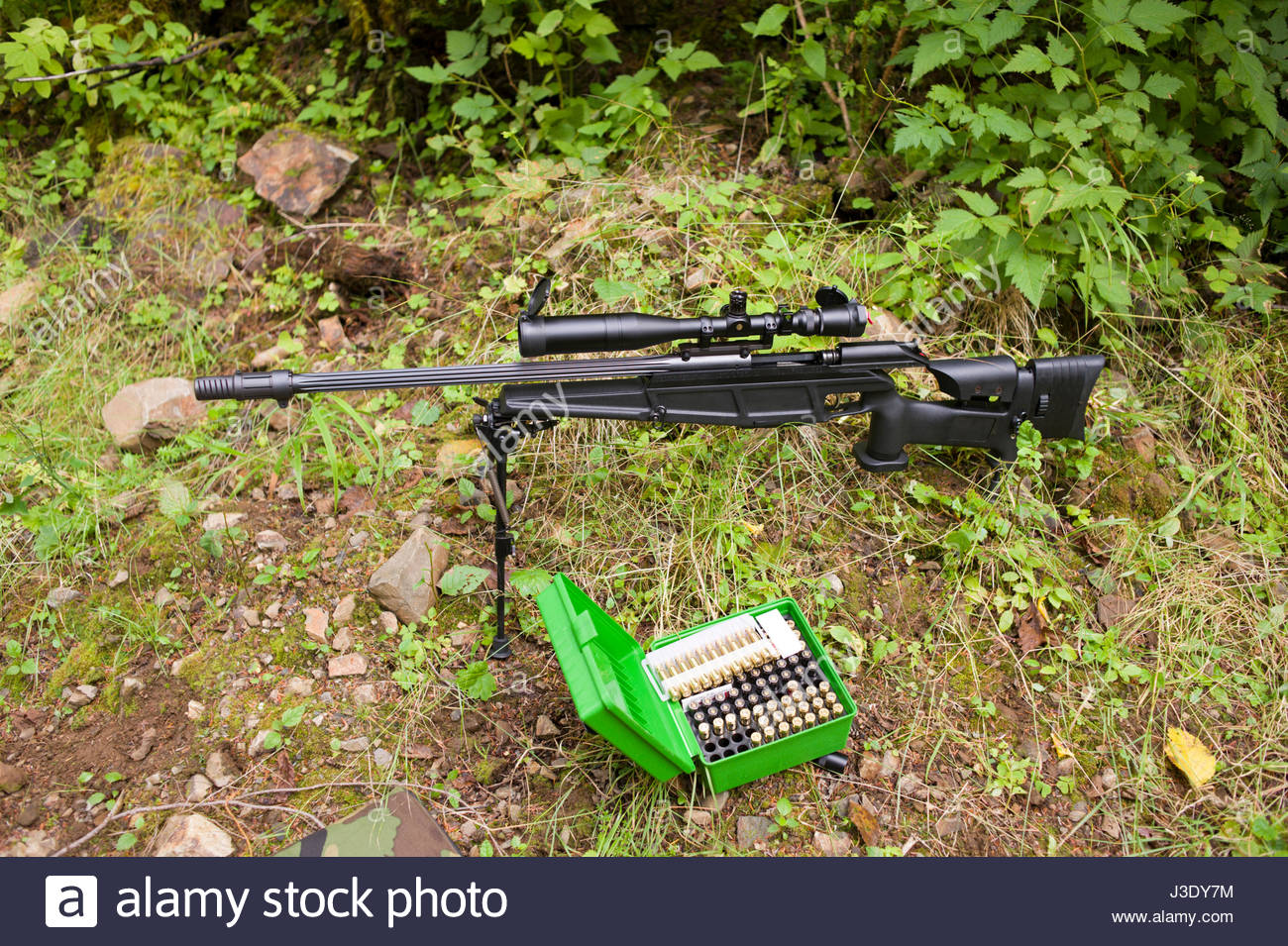 Blaser High Resolution Stock Photography and Images - Alamy