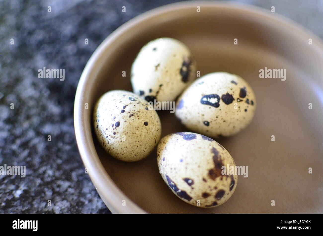 œufs de caille hi-res stock photography and images - Alamy