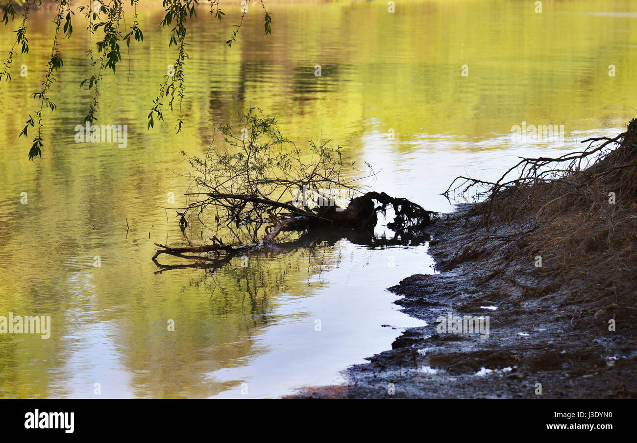 Danube delta nature reserve ,Romania Stock Photo - Alamy