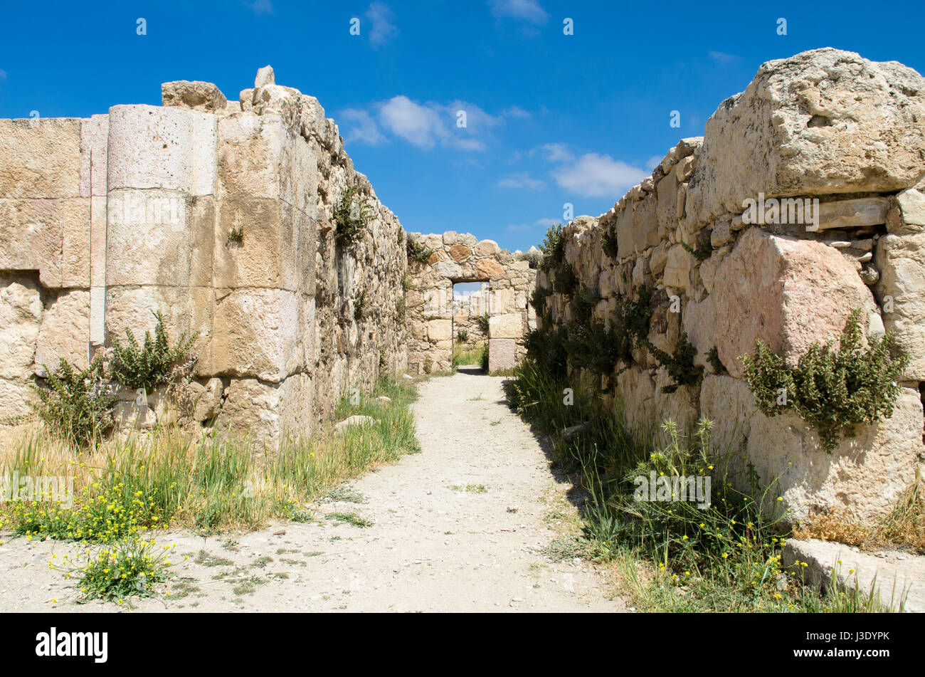 Amman Citadel Jordan Middle East Stock Photo - Alamy