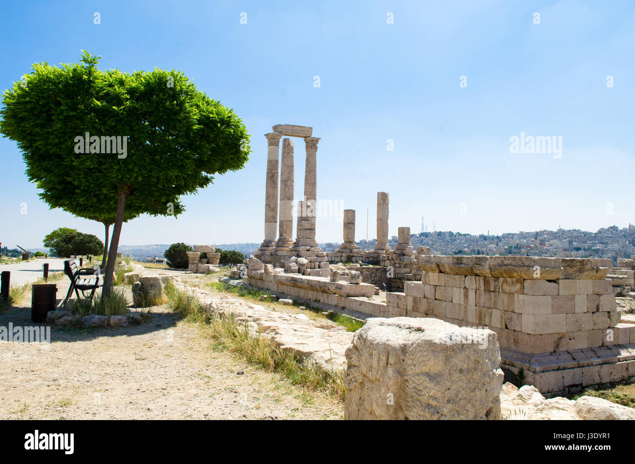Amman Citadel Jordan Middle East Stock Photo - Alamy