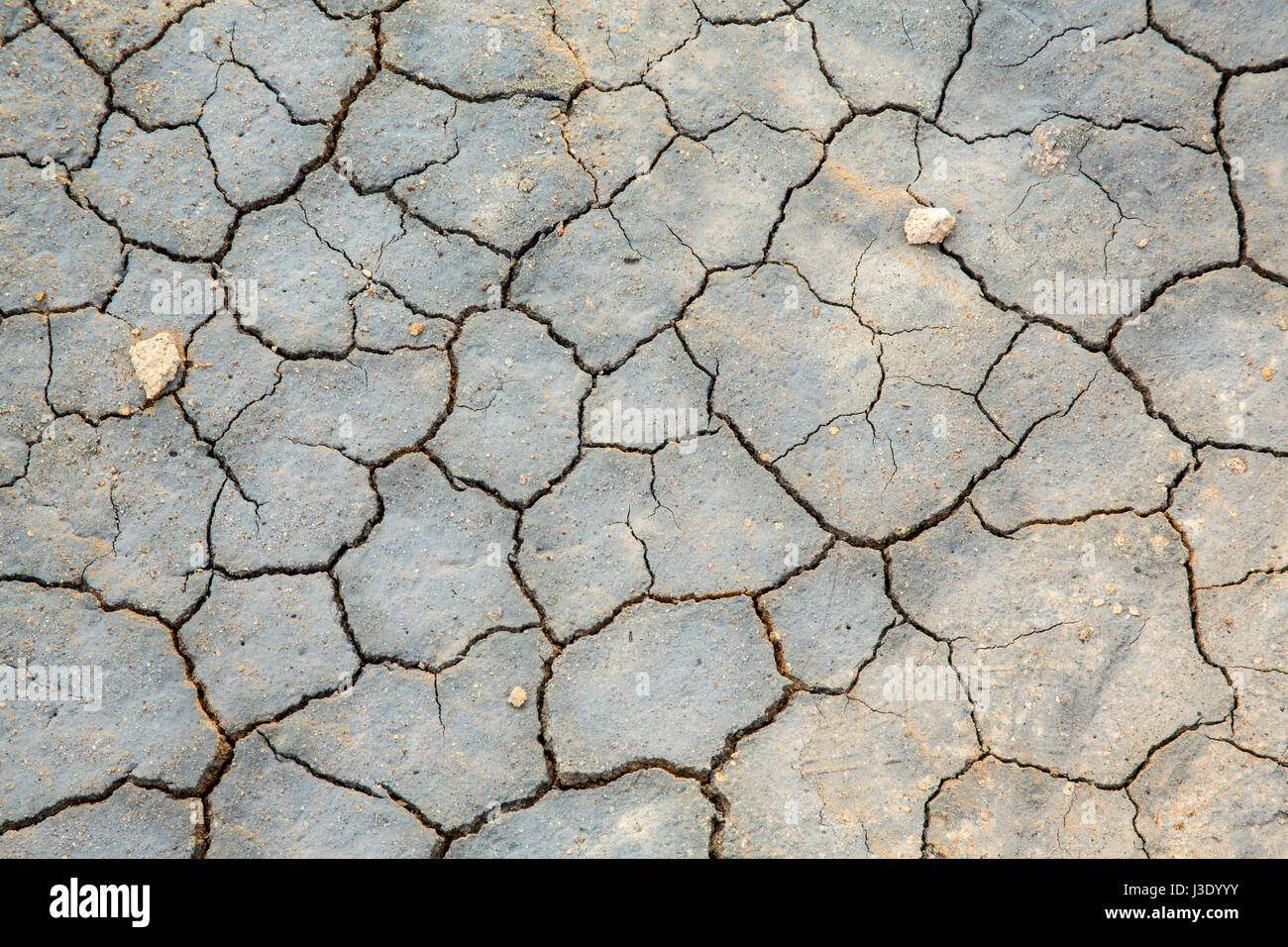 Cracked mud from volcanic mudpot in Iceland Stock Photo - Alamy