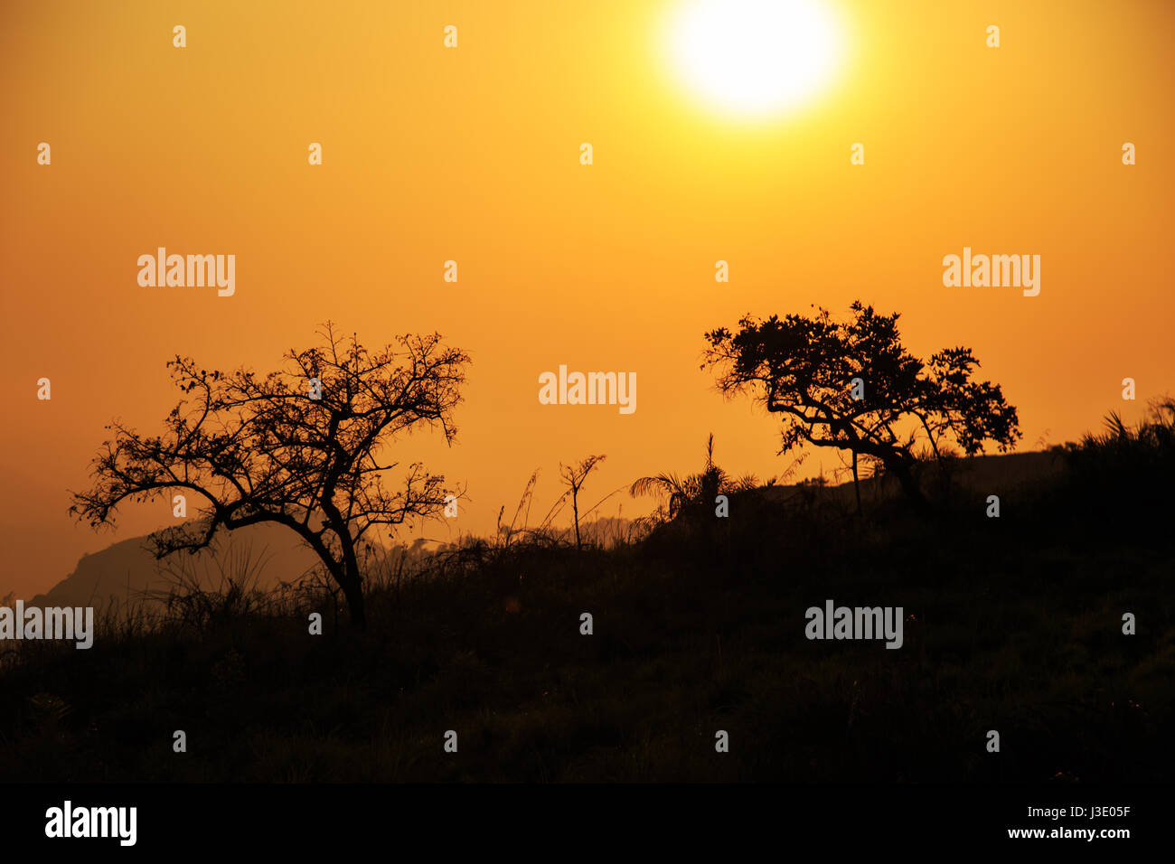 India kerala munnar dawn light hi-res stock photography and images - Alamy