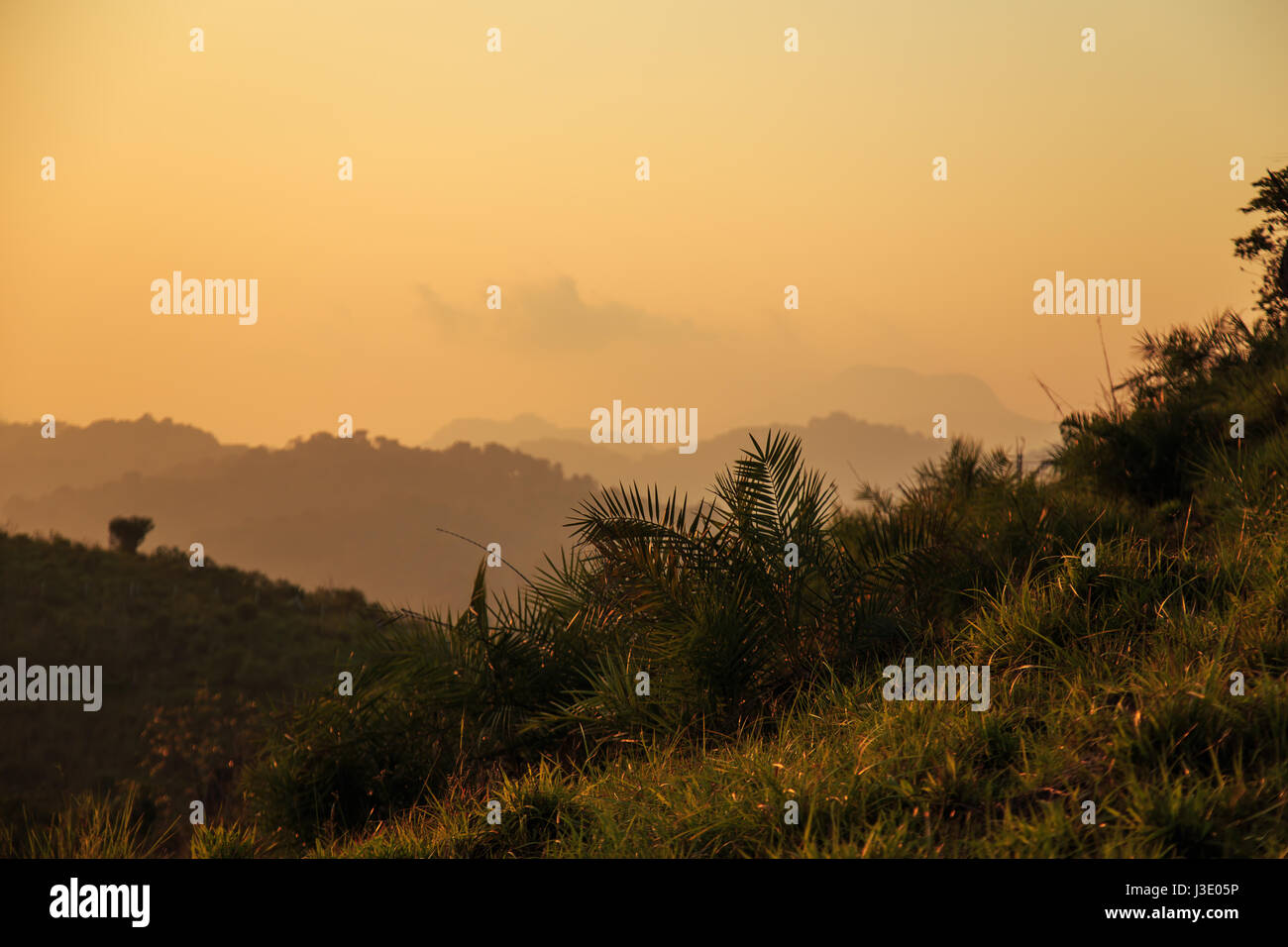 India kerala munnar dawn light hi-res stock photography and images - Alamy