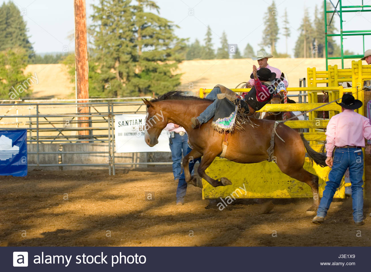 Cowboy On Bucking Horse Stock Photos & Cowboy On Bucking Horse Stock ...