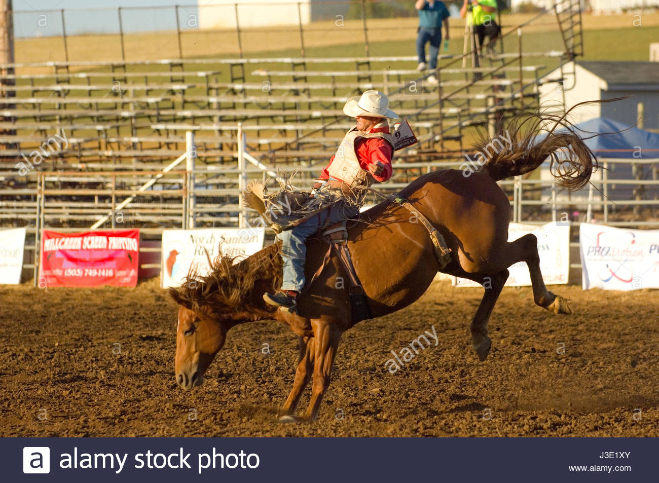 Cowboy On Bucking Horse Stock Photos & Cowboy On Bucking Horse Stock ...