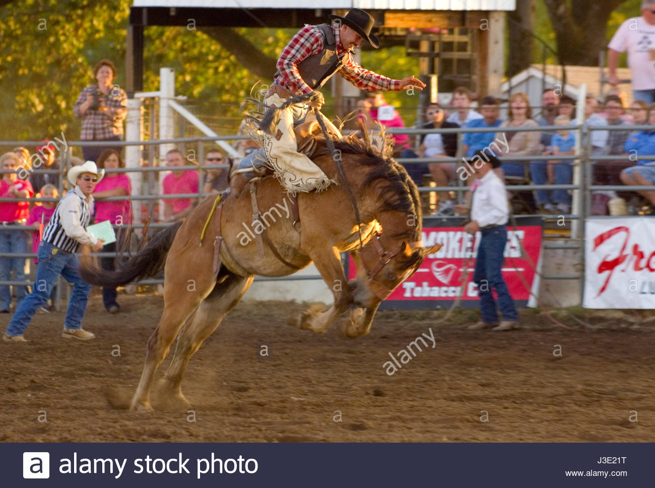 Saddle Bronc Riding Stock Photos & Saddle Bronc Riding Stock Images - Alamy