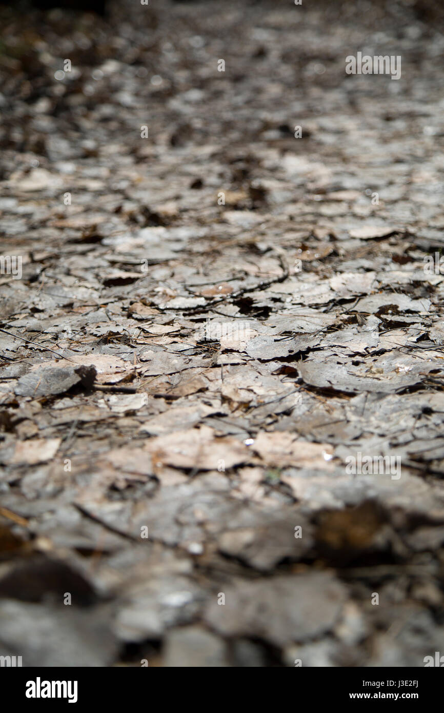 Eye level shot hi-res stock photography and images - Alamy