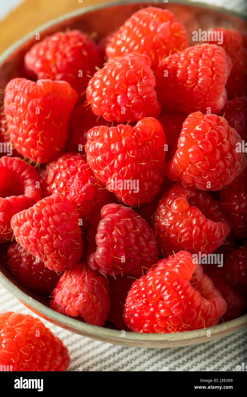 Raw Organic Red Raspberries in a Bowl Stock Photo - Alamy