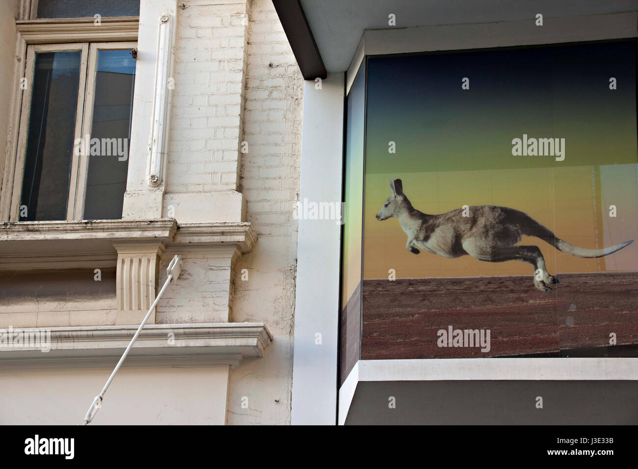 Perth City, Kangaroo Mural, Western Australia Stock Photo - Alamy