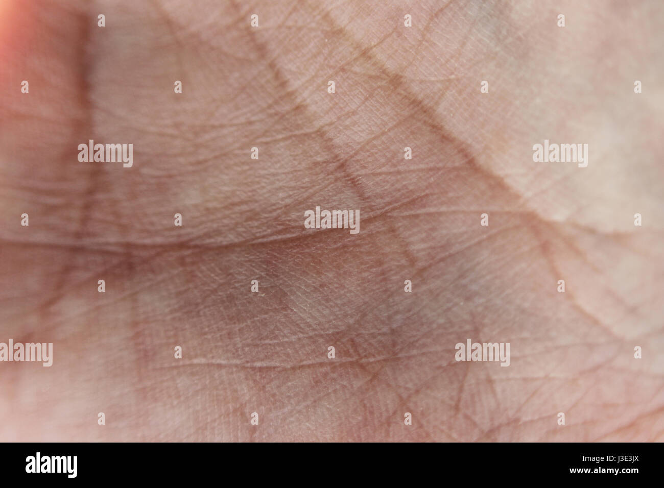 Macro skin of the palm with lines of life and visible blood vessels ...