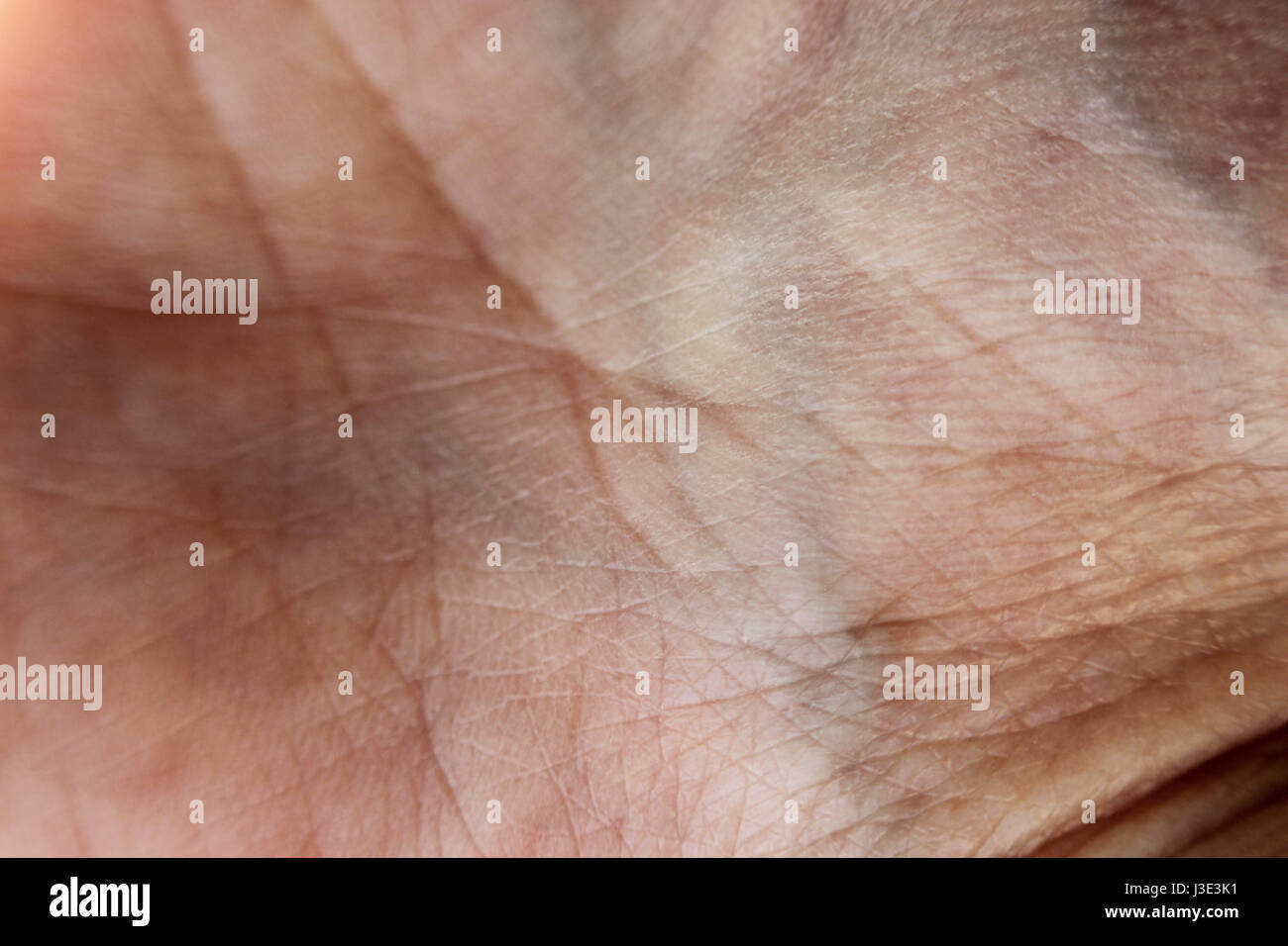 Macro skin of the palm with lines of life and visible blood vessels ...