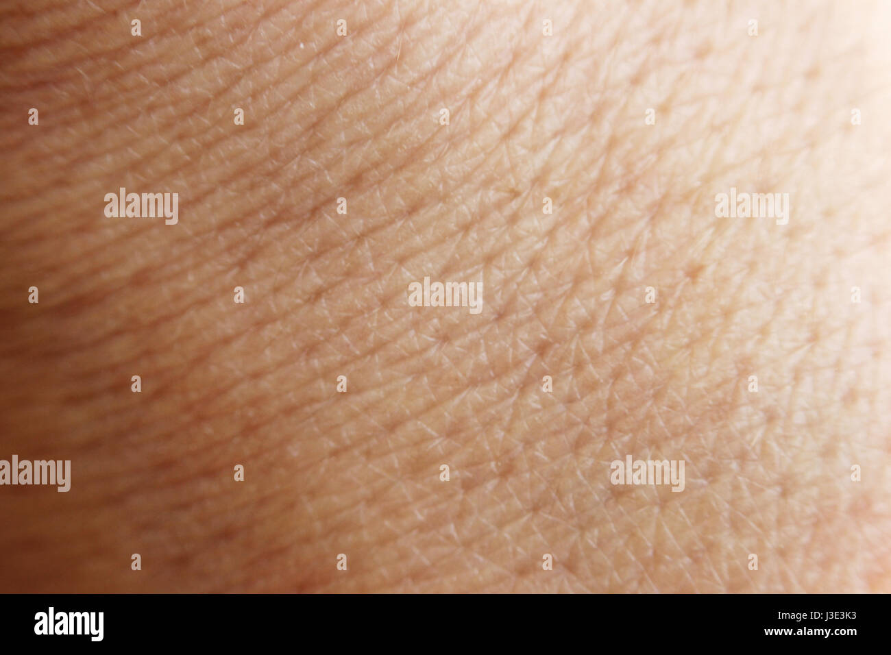Skin texture man back hi-res stock photography and images - Alamy