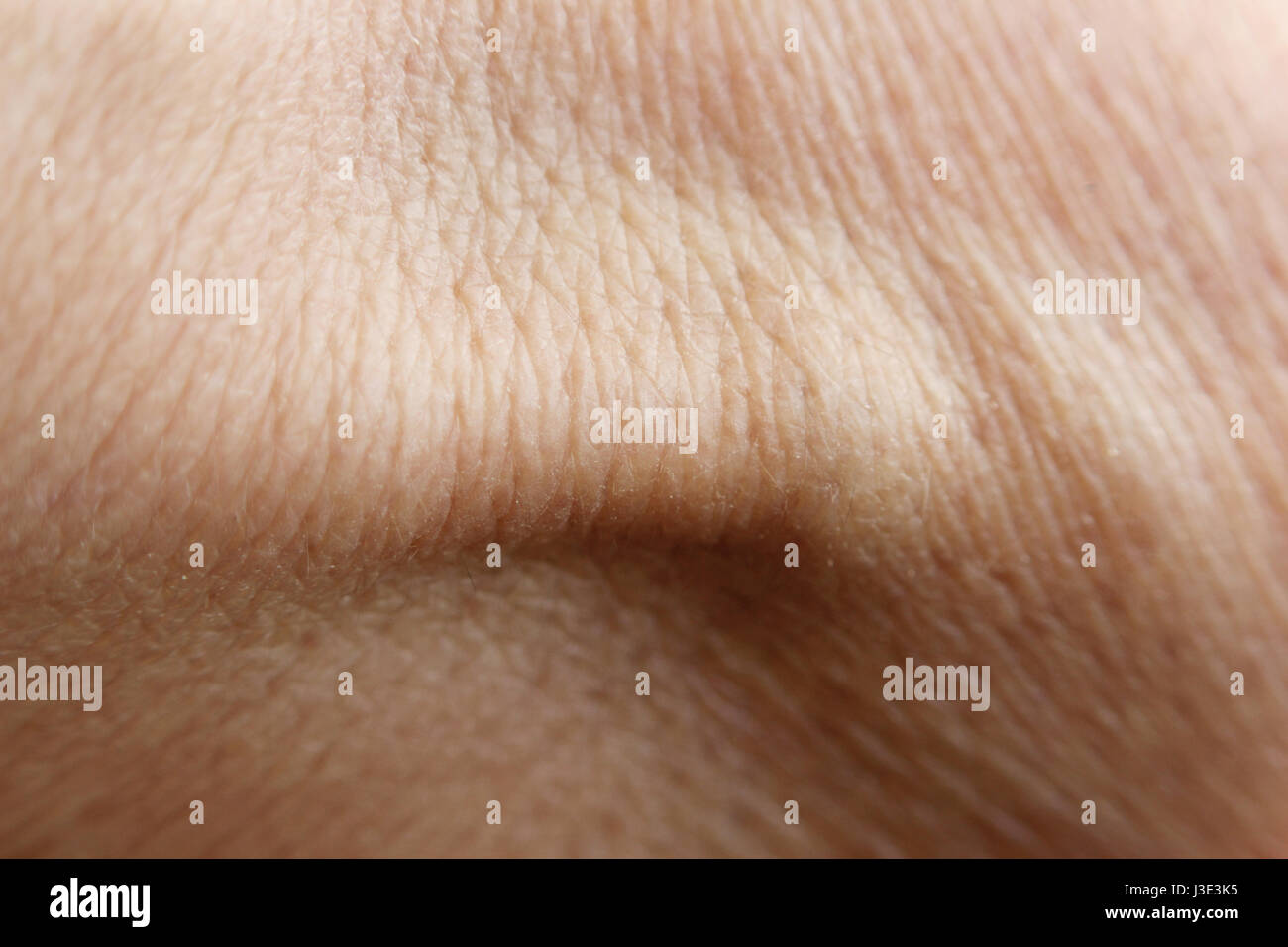 The skin of the back of the human hand with the tendon of the large ...