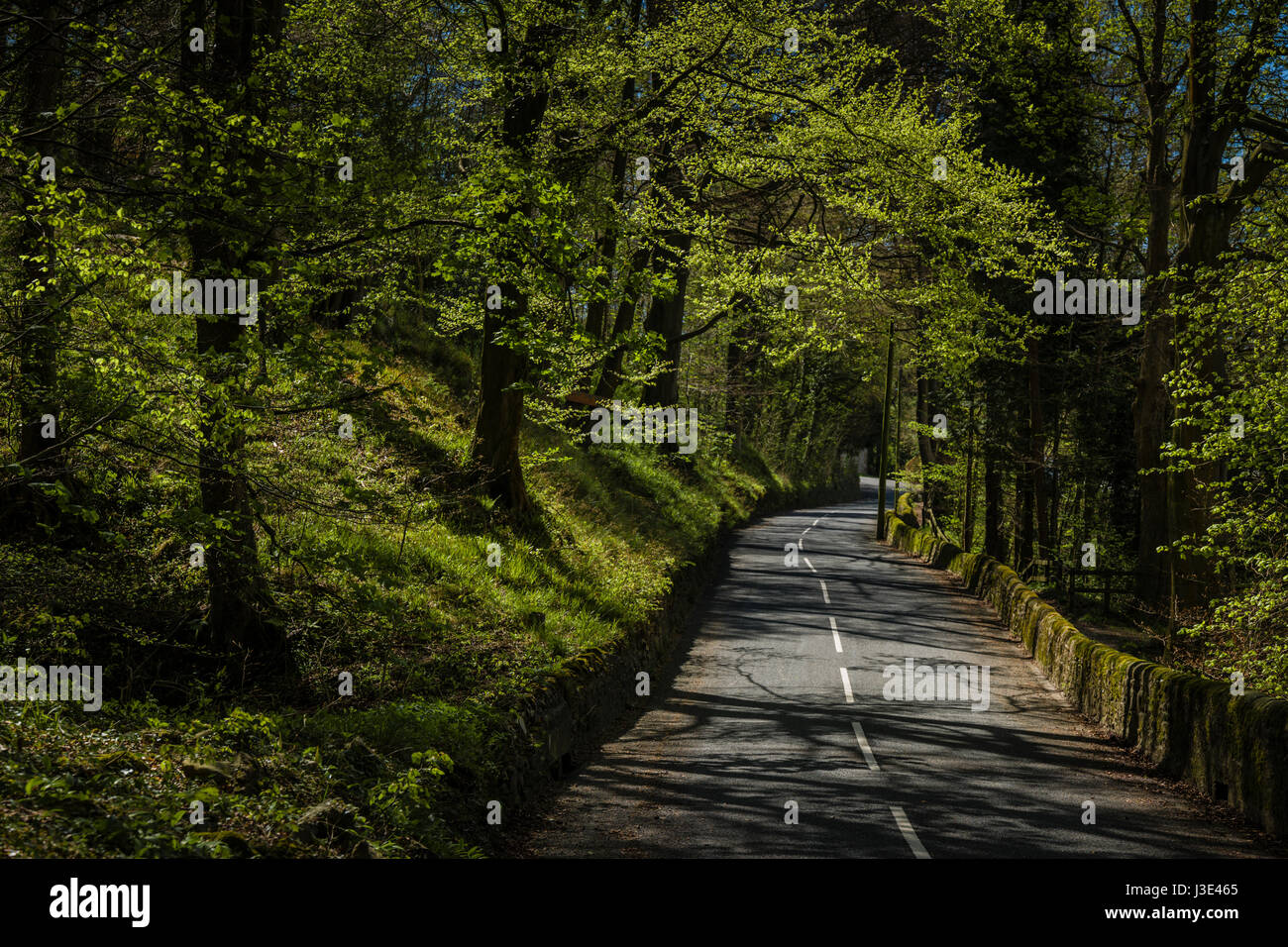 The road in Whitewell, Lancashire, UK Stock Photo - Alamy