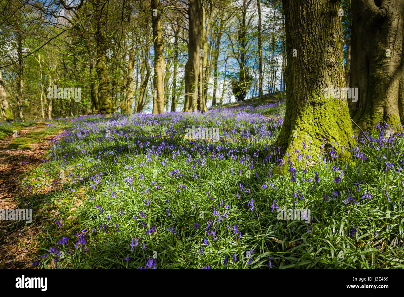 Whitewell hi-res stock photography and images - Alamy