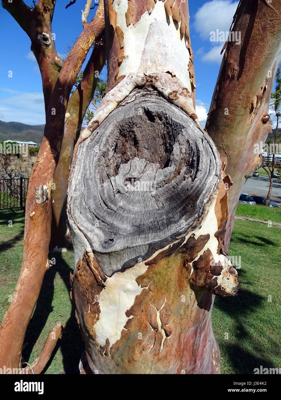 A sign preventing access by vehicular traffic Stock Photo - Alamy