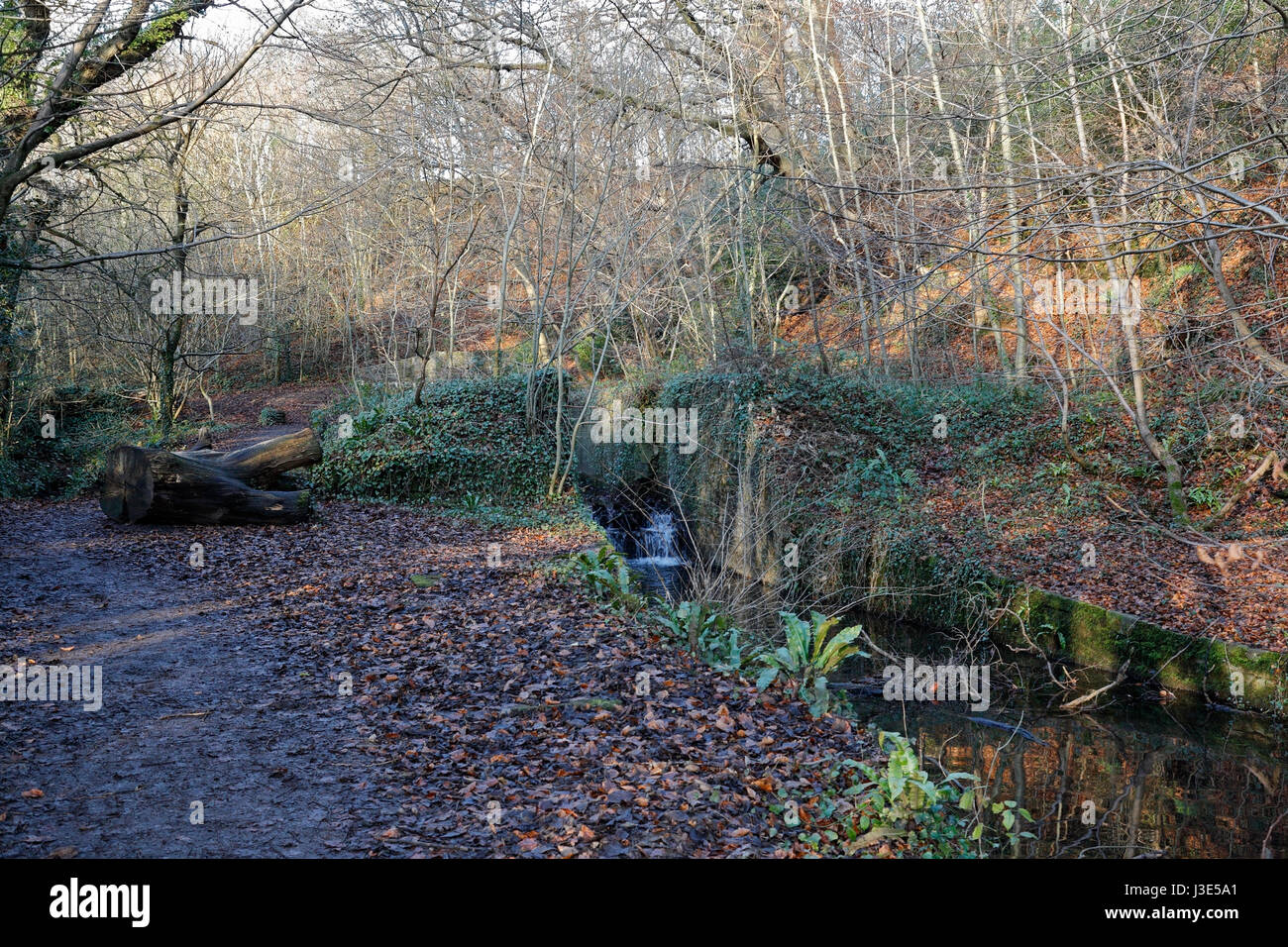Glamorganshire canal at Forest farm Cardiff Wales UK, Nature reserve ...