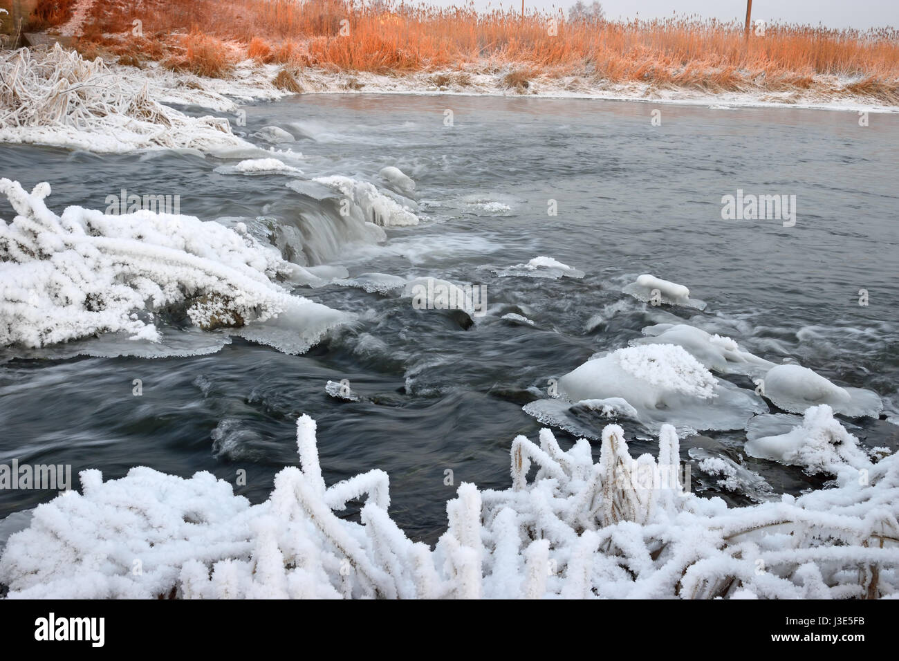 Foaming rapids of the river, covered with growths of ice and bushes dry ...