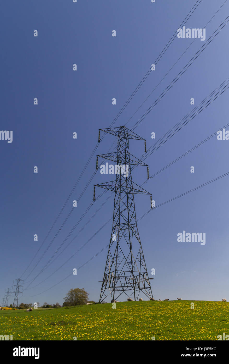 Pylons in a rural landscape Stock Photo - Alamy