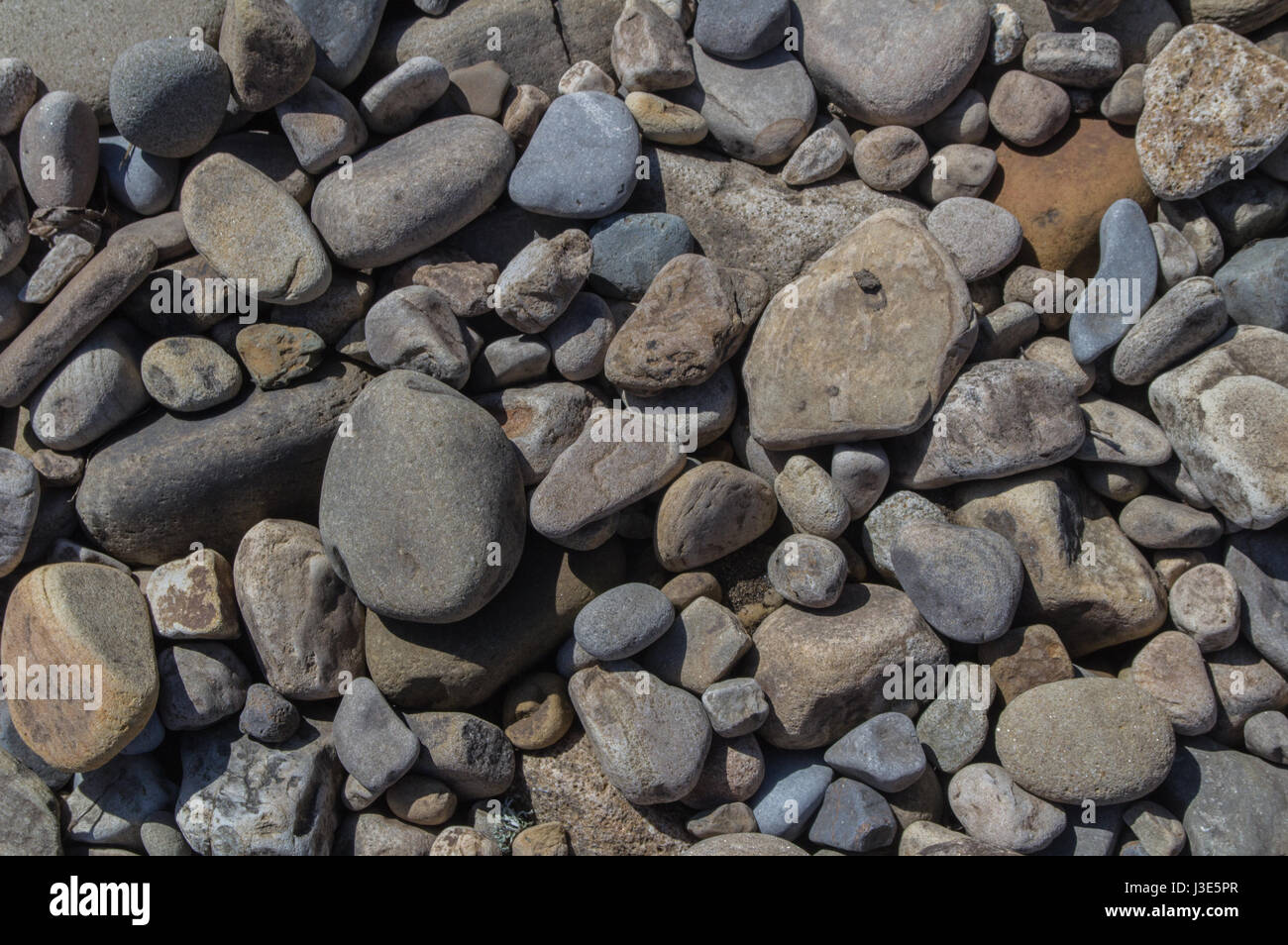 Pebbles from a river bed Stock Photo - Alamy