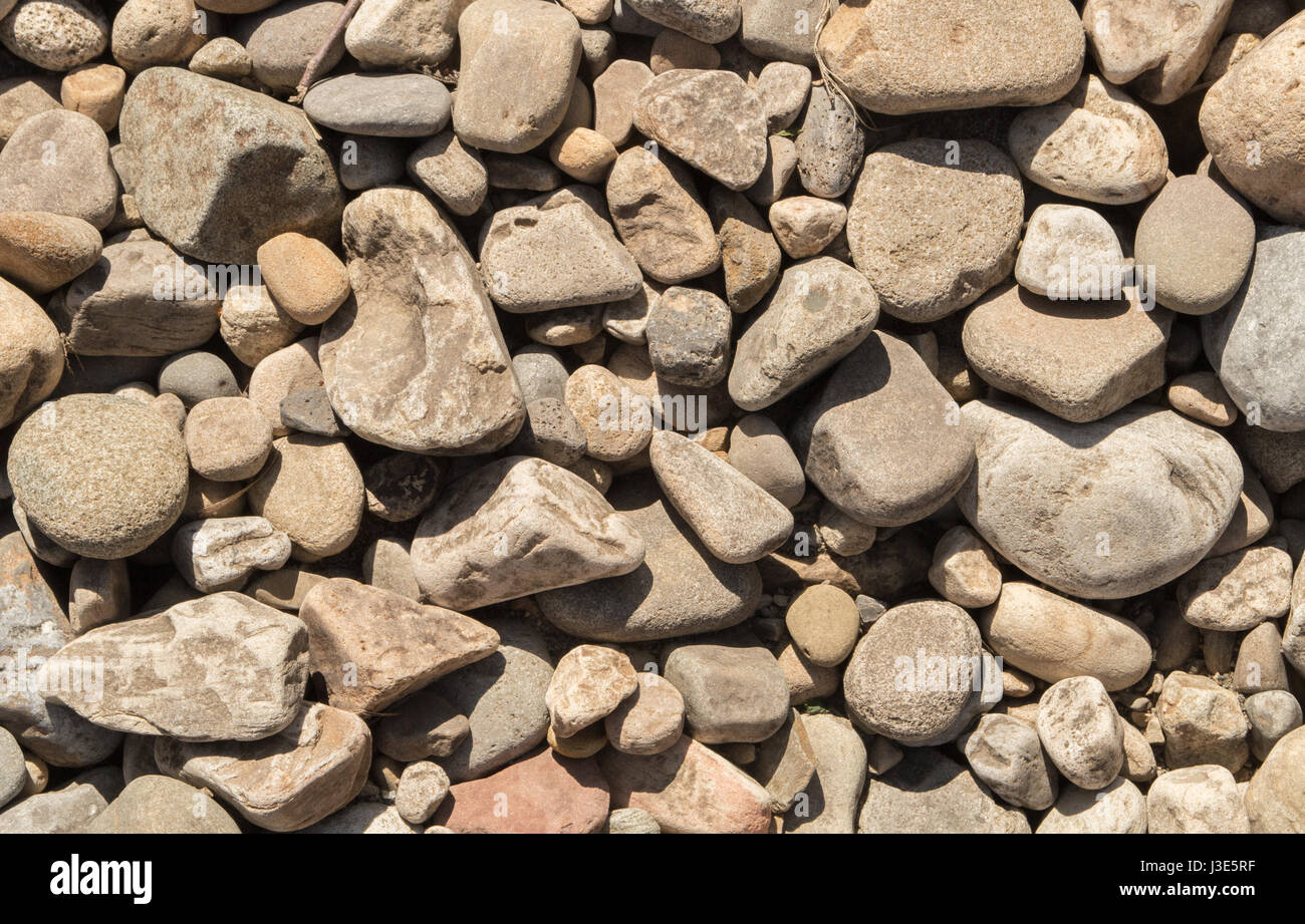 Pebbles from a river bed Stock Photo - Alamy