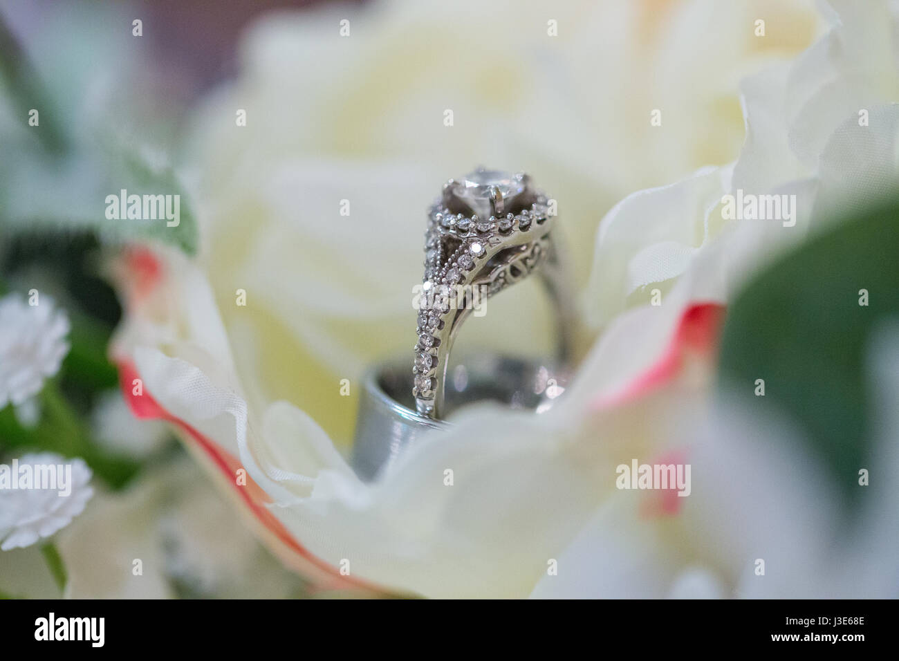 Bride and Groom Wedding Rings Stock Photo - Alamy