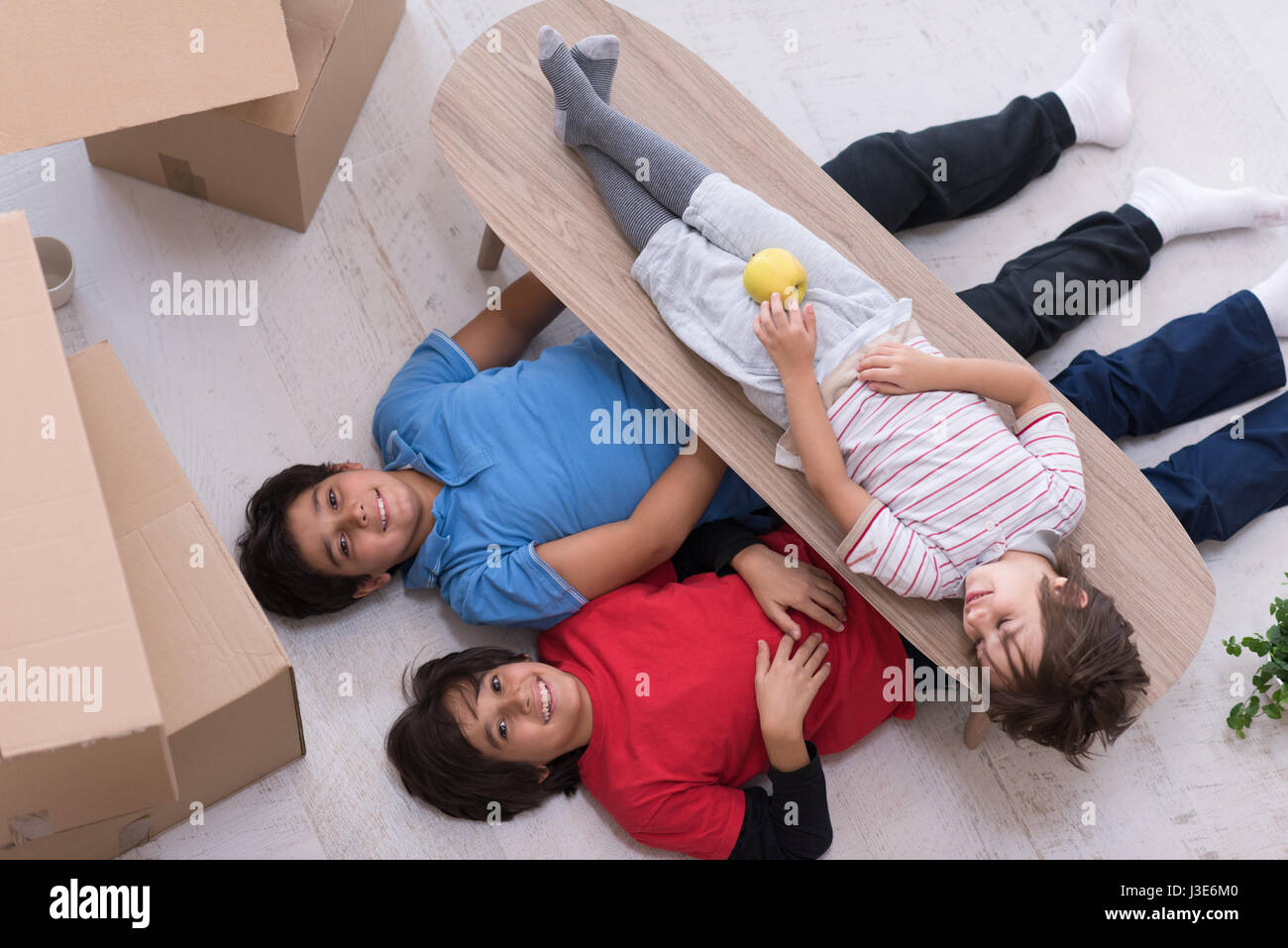 portrait of happy young boys with cardboard boxes around them in a new ...