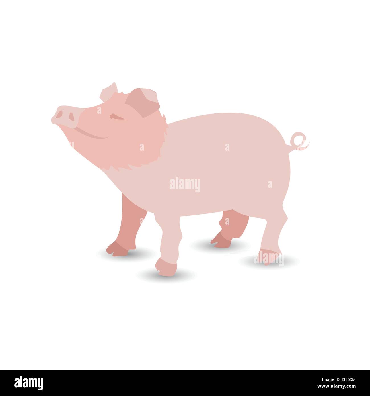 Pig is pink. Illustration for your design. Pink pig naughty and cute ...