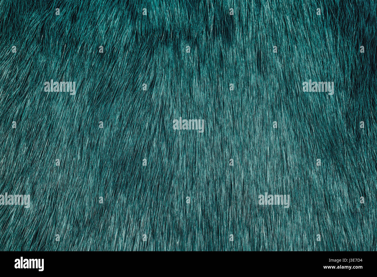 Fur texture hi-res stock photography and images - Alamy