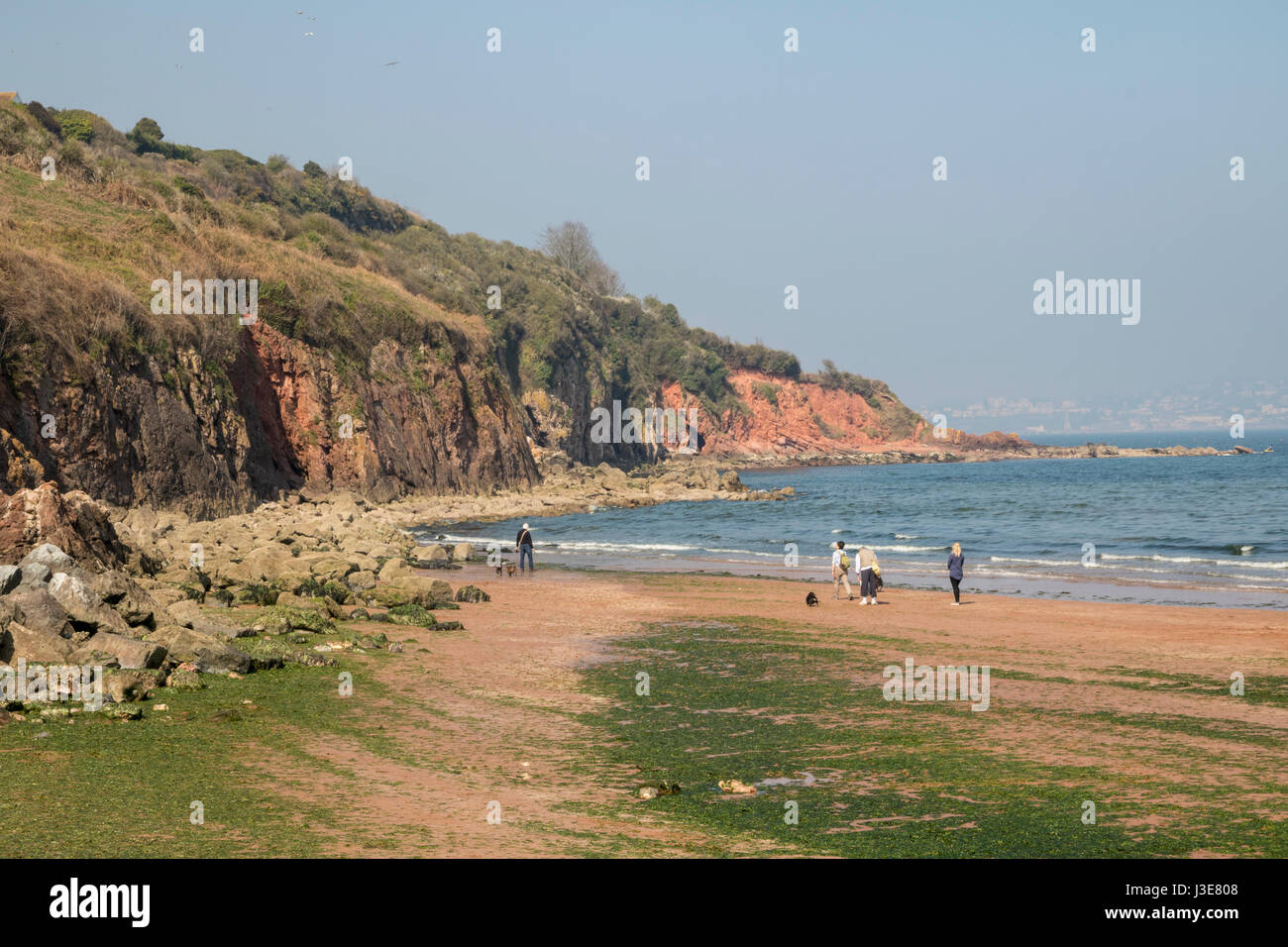 Devon cliffs holiday park hi-res stock photography and images - Alamy