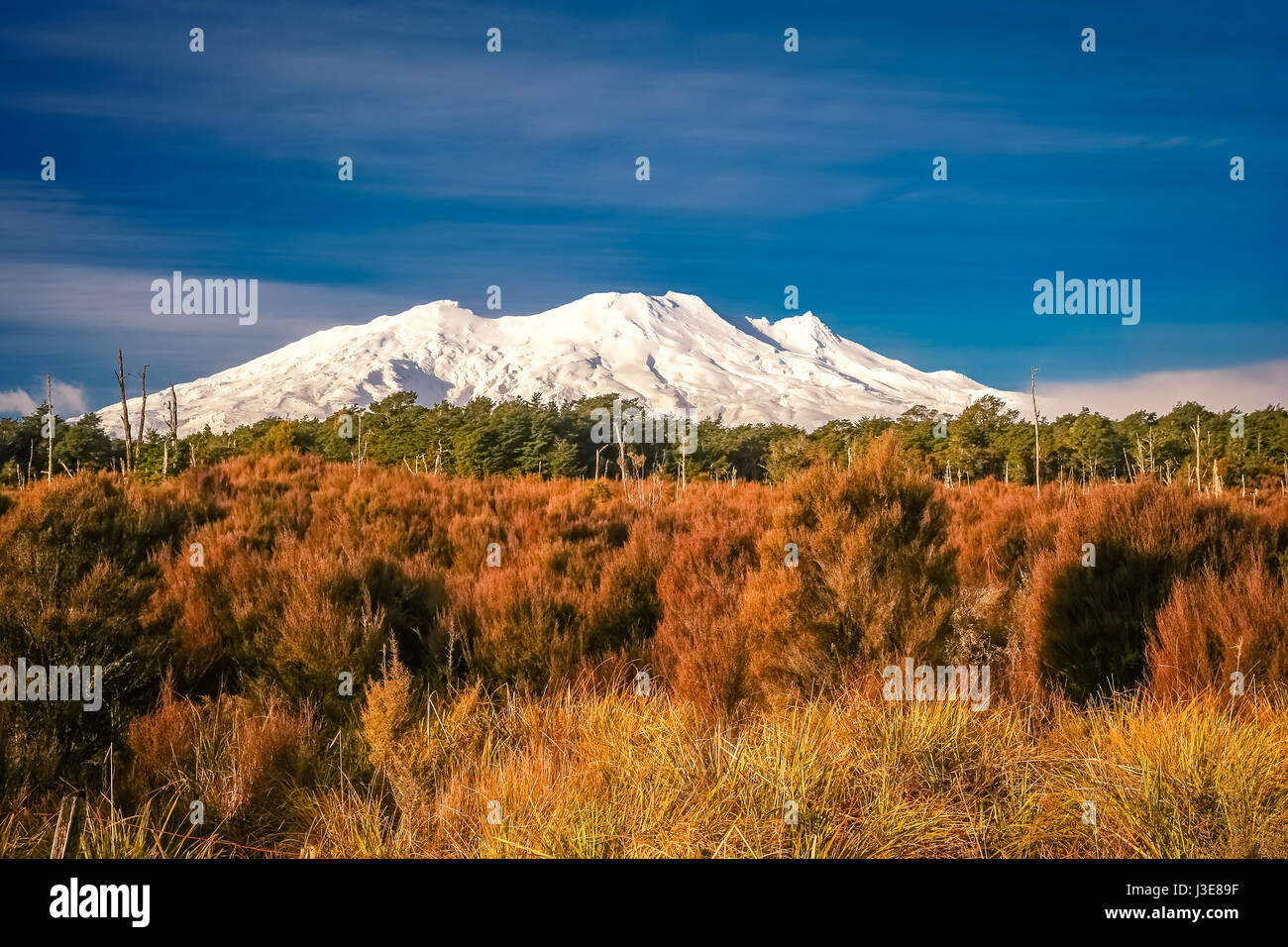 Beautiful Mount Ruapehu mountain, North Island, New Zealand Stock Photo ...