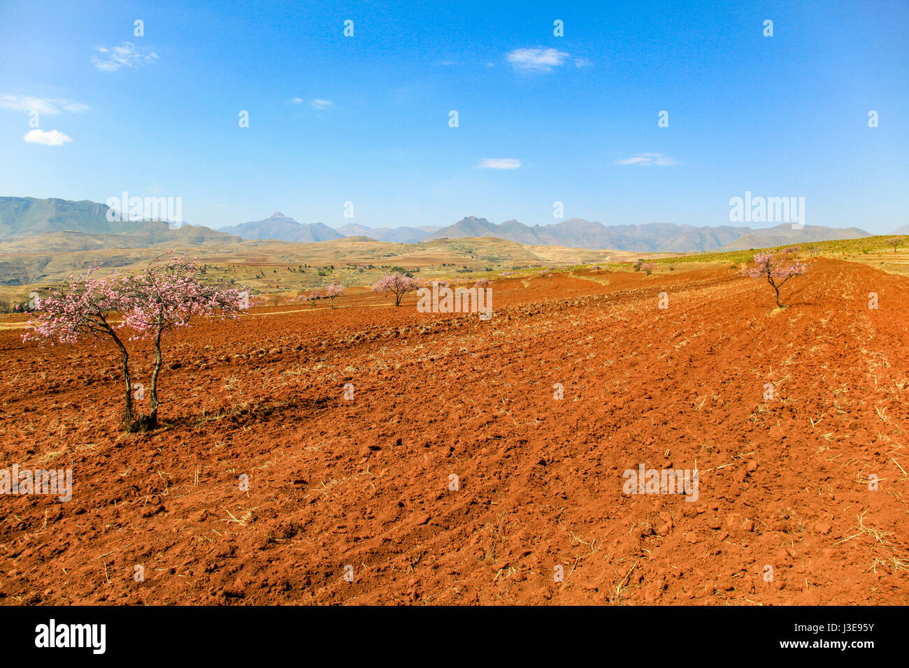 Agriculture in lesotho hi-res stock photography and images - Alamy