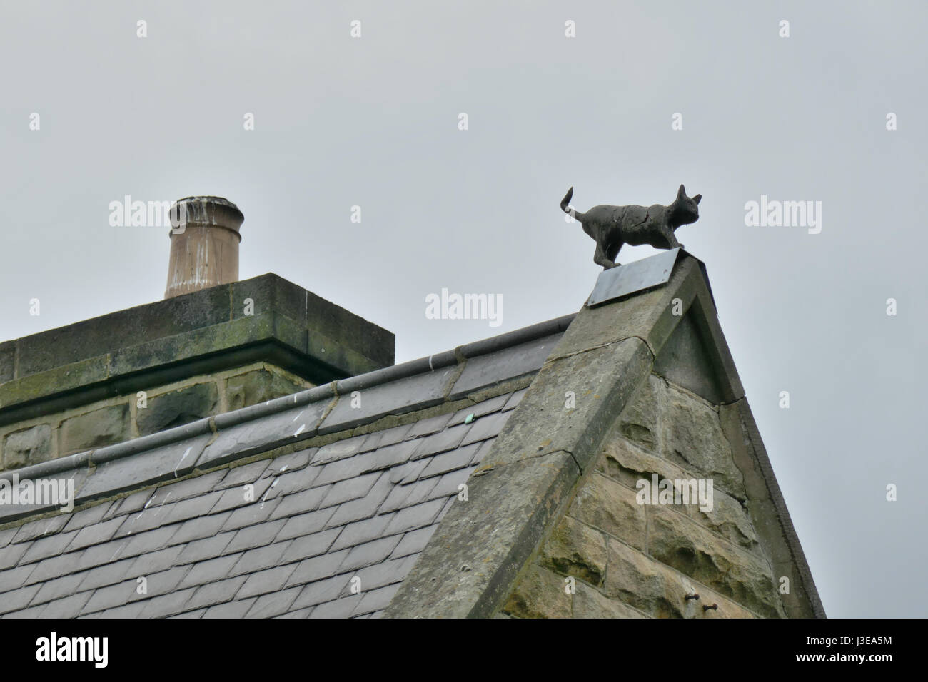Ridge tiles hi-res stock photography and images - Alamy