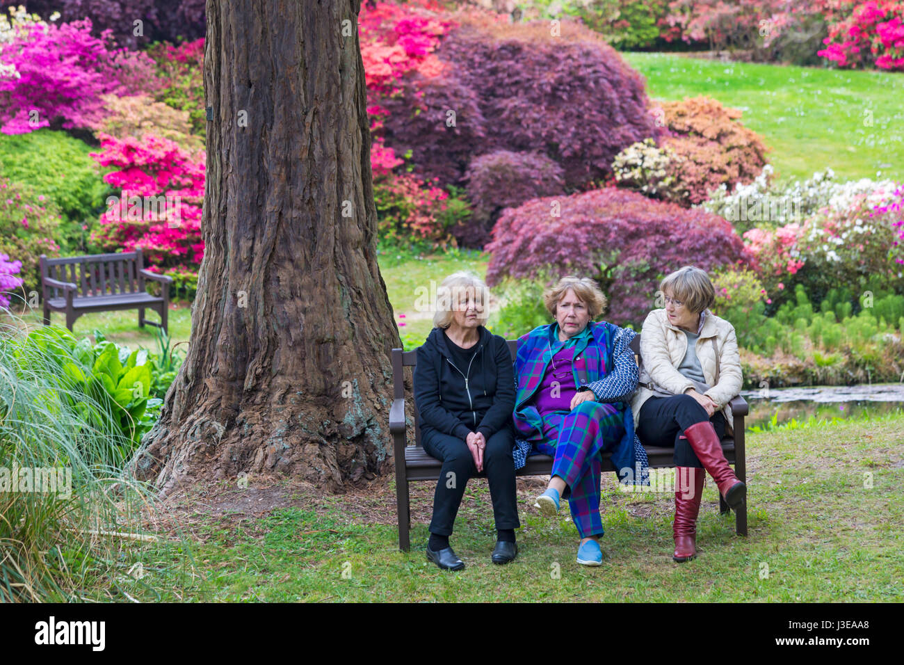Three women sat on bench three women sitting on bench hi-res stock ...