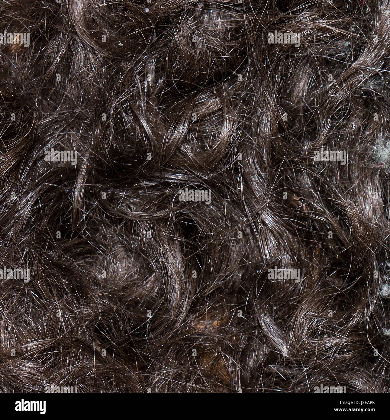 Human hair dandruff hi-res stock photography and images - Alamy