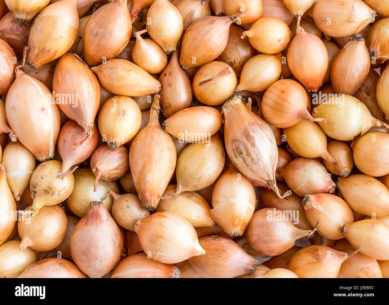 The Onions background and texture Stock Photo - Alamy