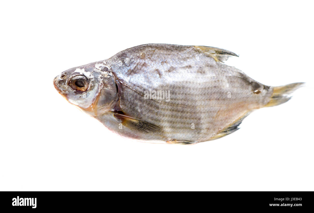 The Dried Fish on a white background Stock Photo - Alamy