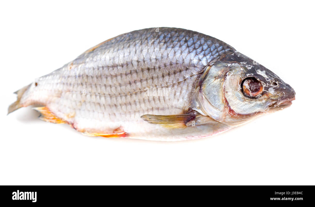 The Dried Fish on a white background Stock Photo - Alamy