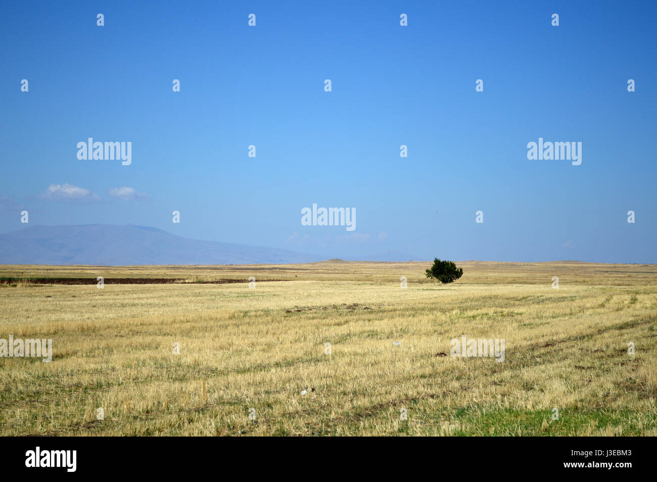 Vast autumn field in hi-res stock photography and images - Alamy