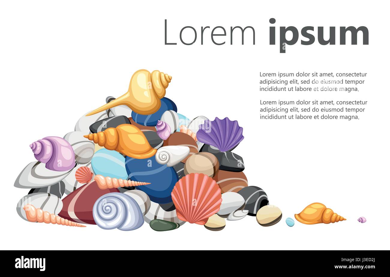 Stones frame of sea shells, vector illustration.Summer concept with ...