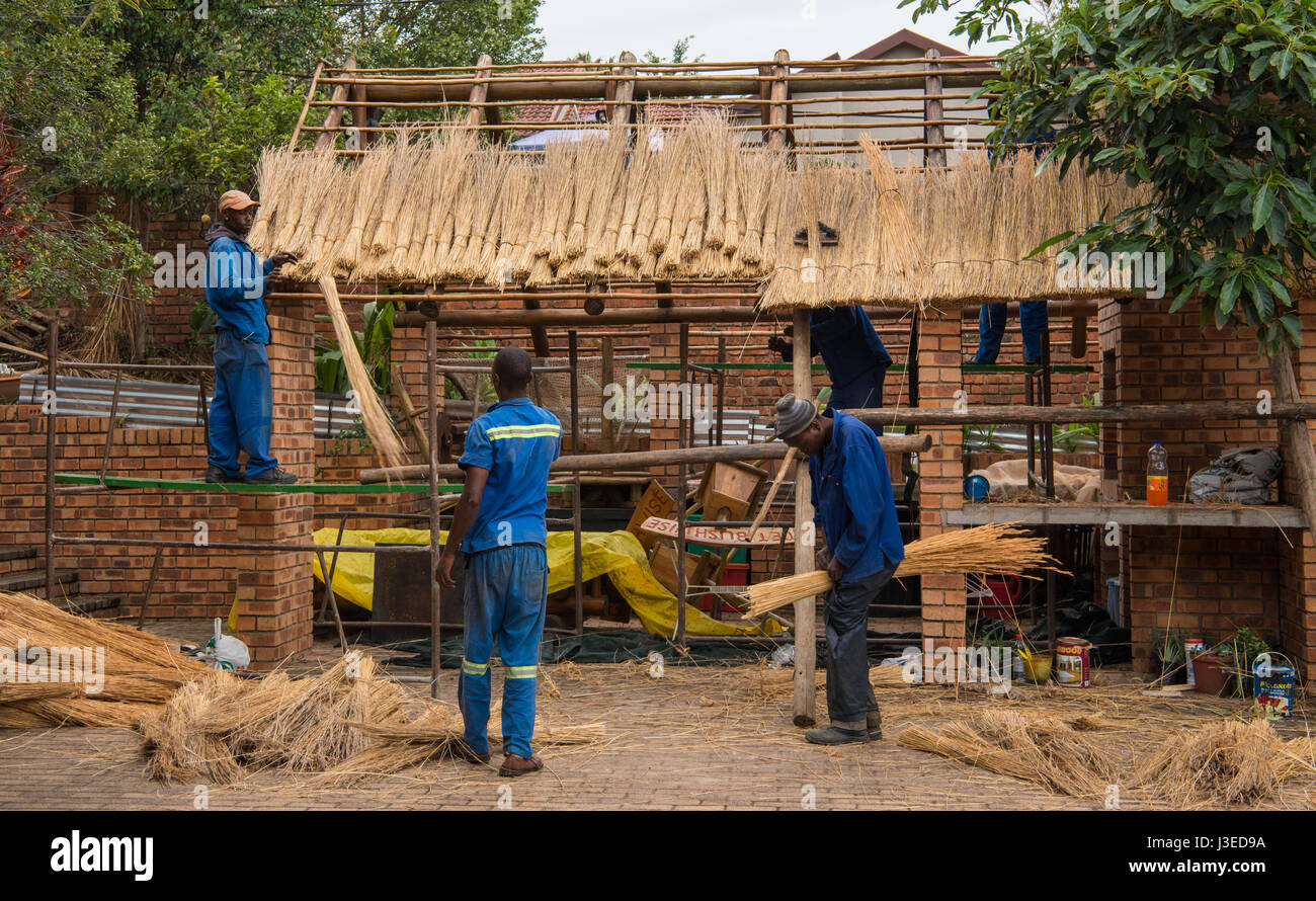 Thatching grass hi-res stock photography and images - Alamy