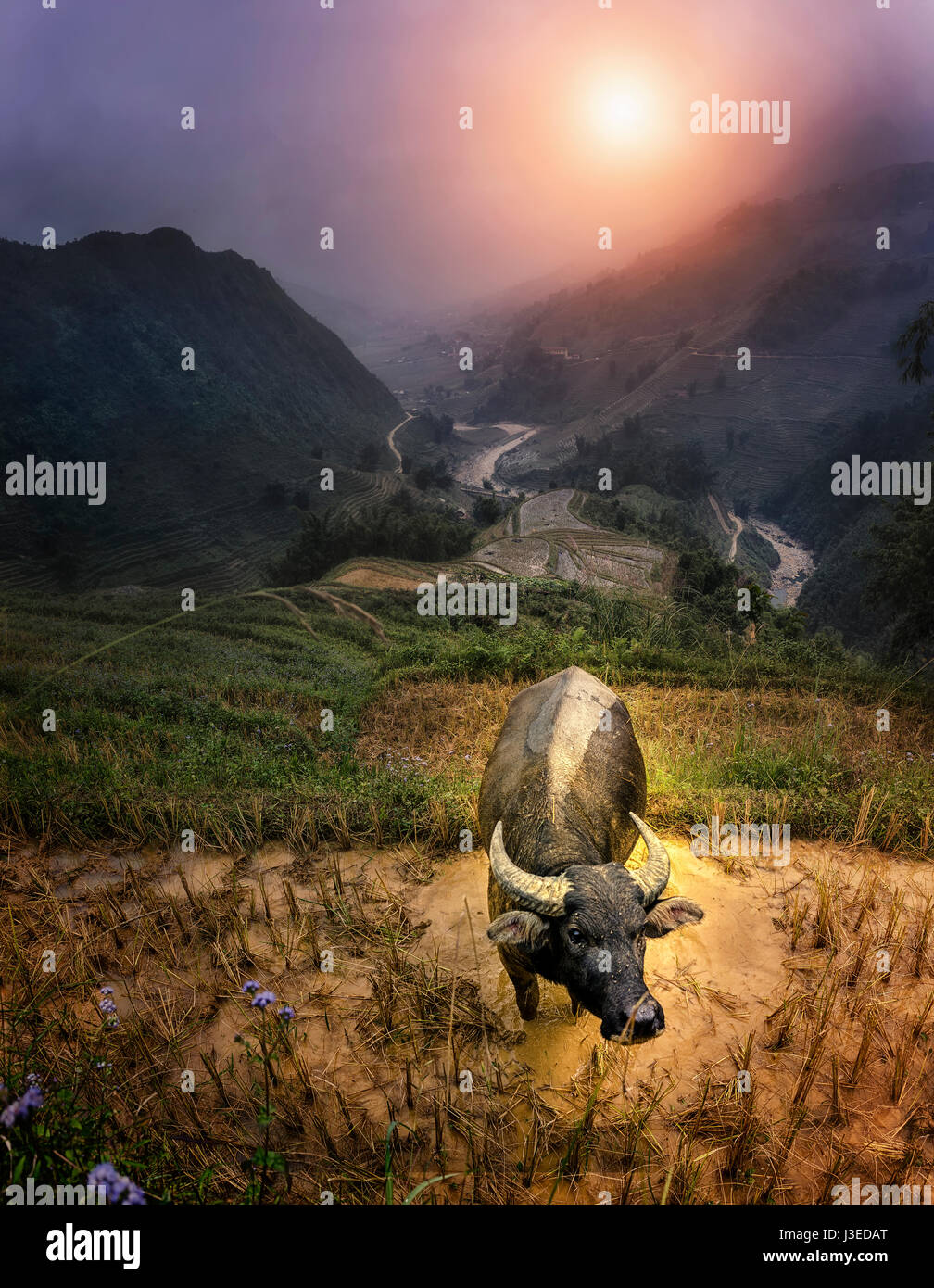 An lao valley hi-res stock photography and images - Alamy