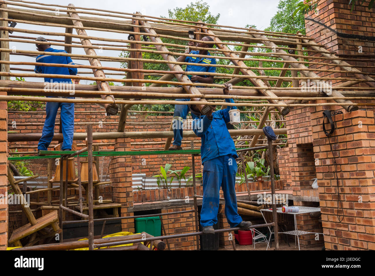 Treat against termites hi-res stock photography and images - Alamy
