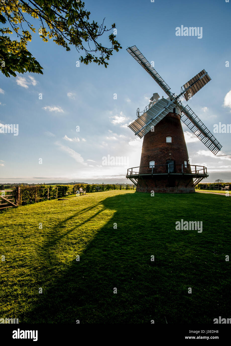 Thaxted Windmill, Essex, England, United Kingdom Stock Photo - Alamy