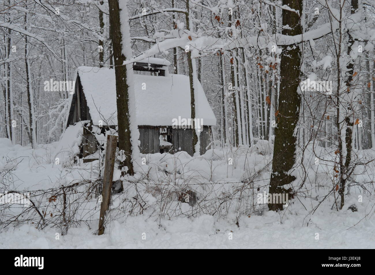 Old Sugar Shack Stock Photo - Alamy