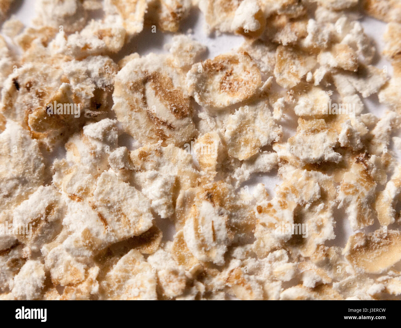 a layer of oats and their texture close up detail in studio Stock Photo ...